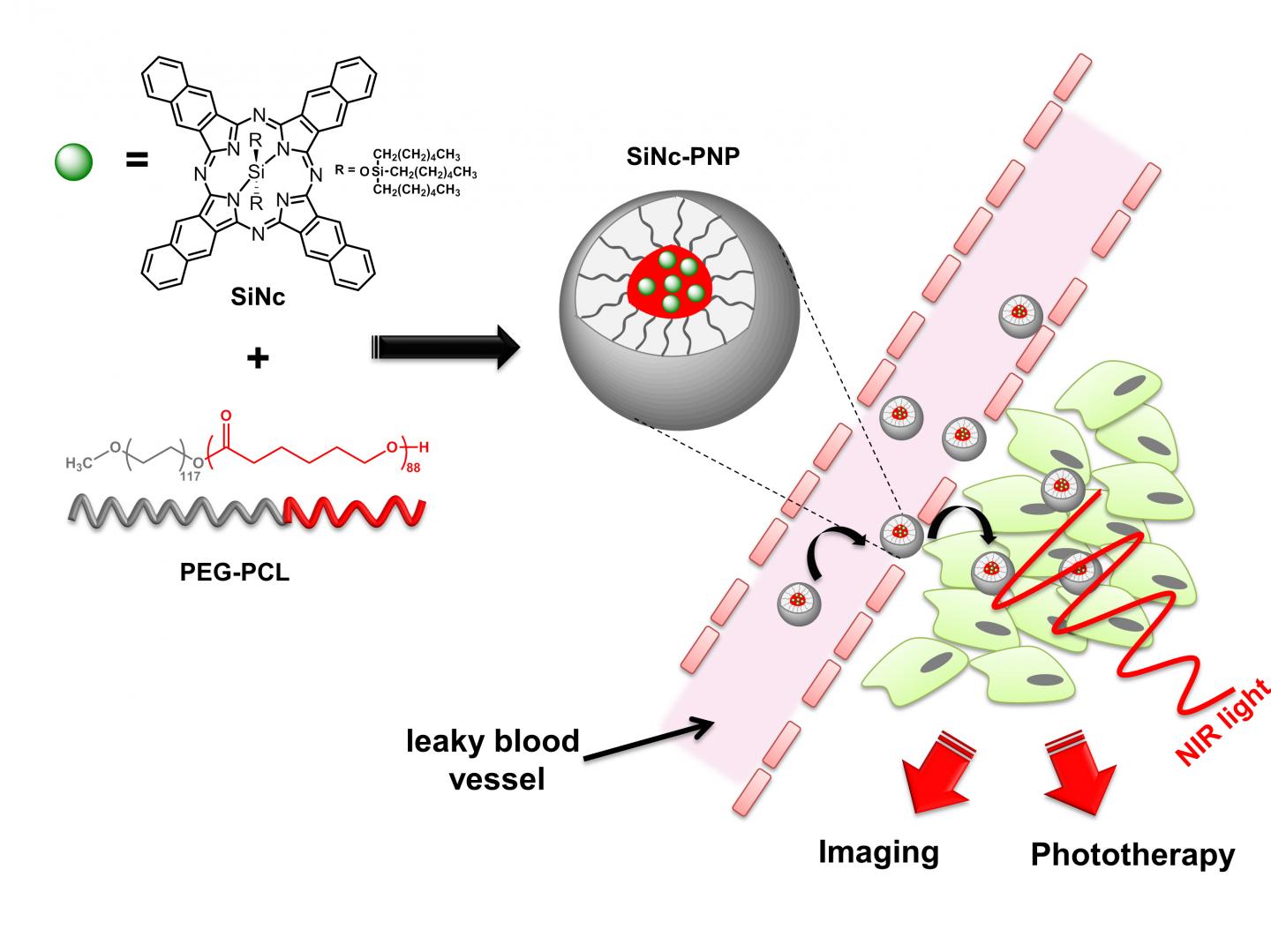 Single-agent phototherapy system offers signi | EurekAlert!