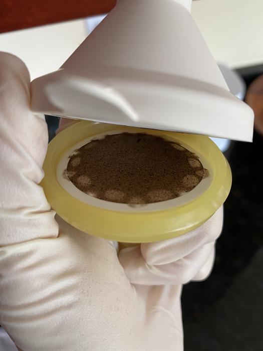 Filter Closeup [IMAGE] | EurekAlert! Science News Releases