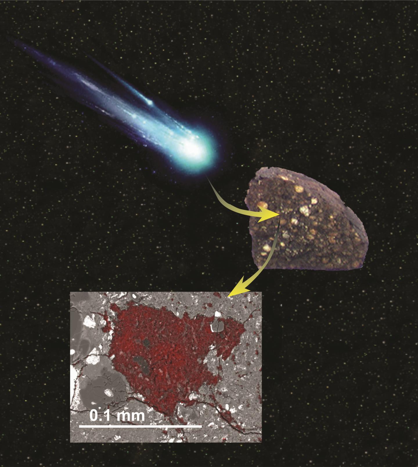Comet fragment discovered inside meteorite gi | EurekAlert!