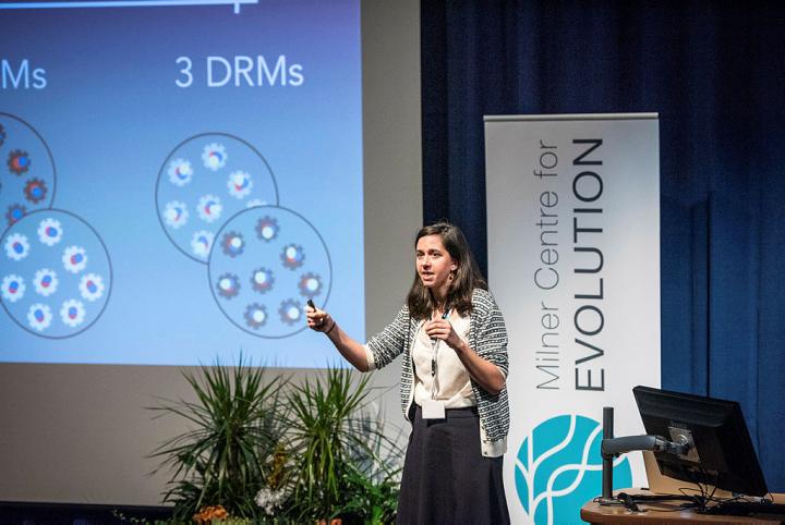 Dr Alison Feder Presenting Her [IMAGE] | EurekAlert! Science News Releases