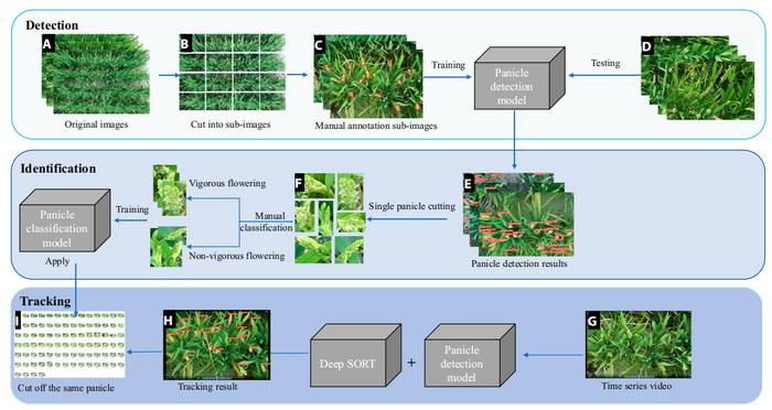 Fig. [IMAGE] | EurekAlert! Science News Releases