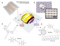 Breakthrough development of flexible 1D-1R me | EurekAlert!