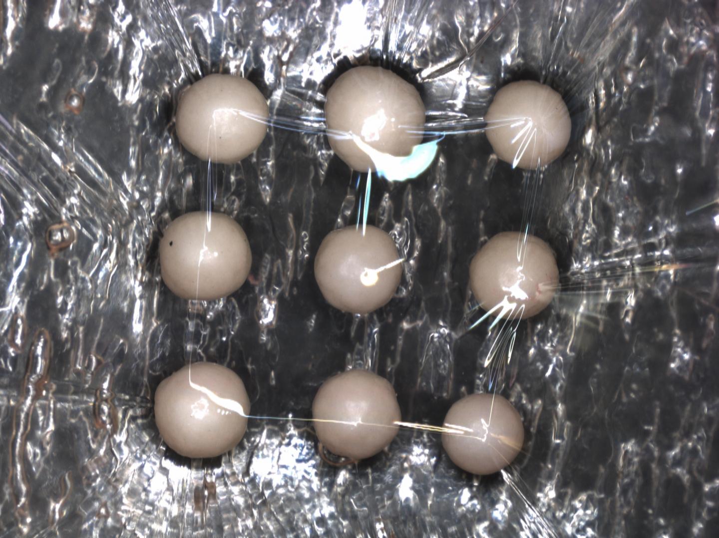 Quick-Wrap of Water Creates 3D Polymer Membra | EurekAlert!