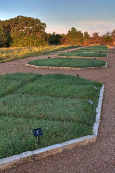 Lawn Research Plots [IMAGE] | EurekAlert! Science News Releases