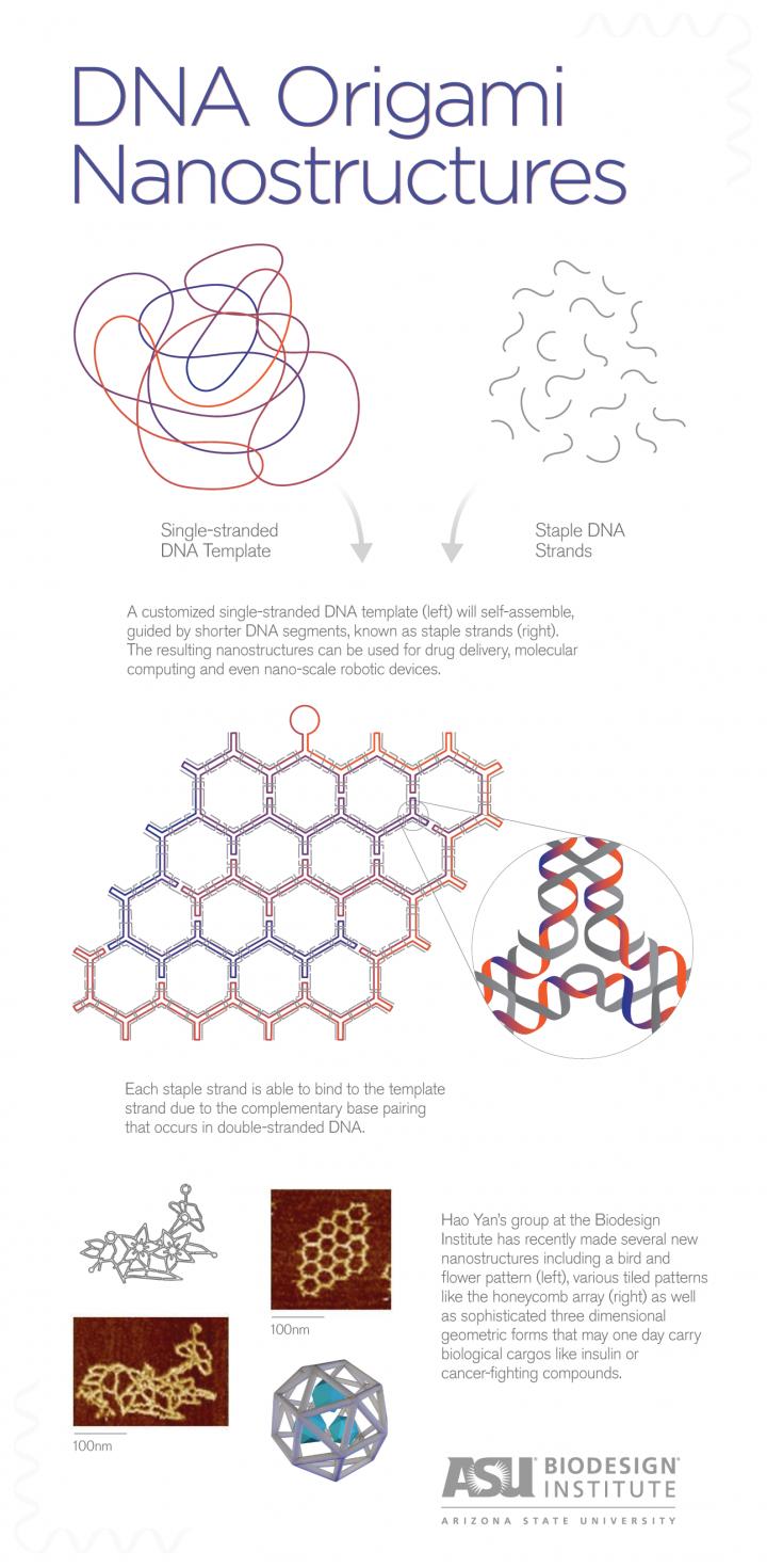 How It Works [IMAGE] | EurekAlert! Science News Releases