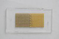 Wearable, Stretchable Memory Device Monitors | EurekAlert!