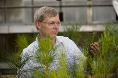 Tom Fox, Virginia Tech [IMAGE] | EurekAlert! Science News Releases