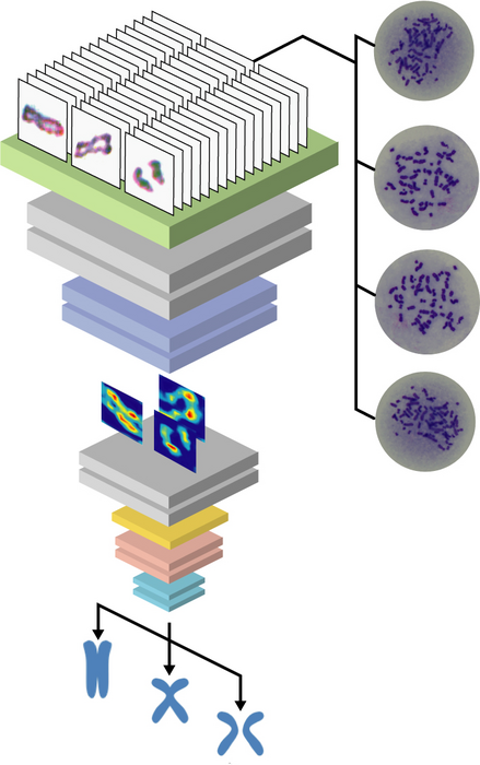 Schematic of the new machine l [IMAGE] | EurekAlert! Science News Releases