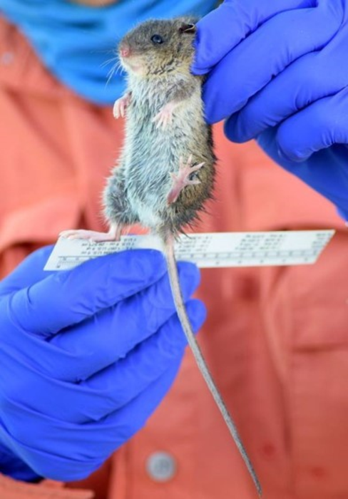 March research news from the Ecological Socie EurekAlert