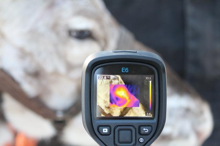 Infrared thermal imaging [IMAGE] | EurekAlert! Science News Releases