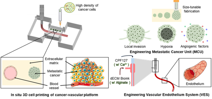 Personalized cancer treatment tested on artif | EurekAlert!