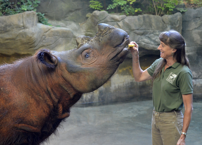 Cincinnati Zoo shares expertise with Indonesi | EurekAlert!