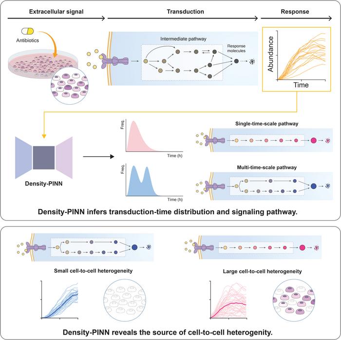 Figure 1. Illustration of the [IMAGE] | EurekAlert! Science News Releases
