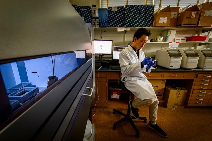 Yan in the laboratory [IMAGE] | EurekAlert! Science News Releases