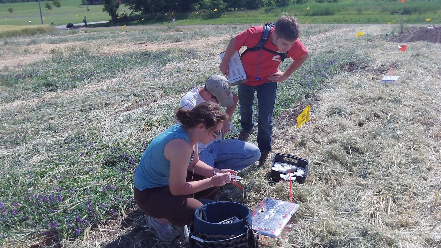 Collect Soil Samples [IMAGE] | EurekAlert! Science News Releases