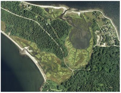 Rhode Island Marsh [IMAGE] | EurekAlert! Science News Releases