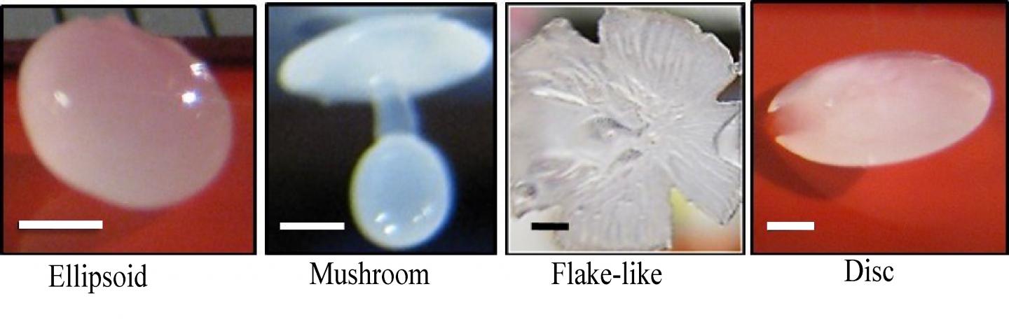 Four Unique Non-spherical Shap [IMAGE] | EurekAlert! Science News Releases