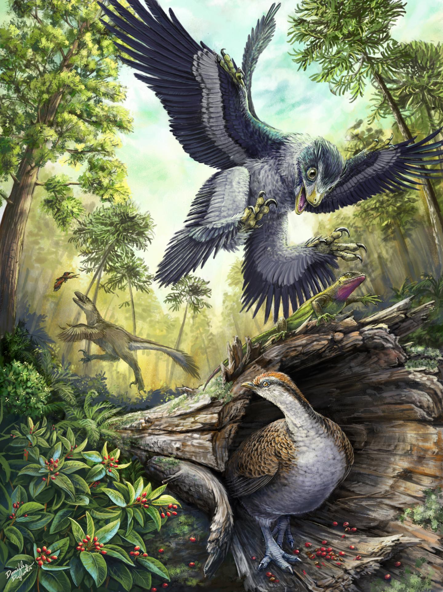 Cretaceous-Period Bird from Madagascar Had Sickle-Shaped Beak