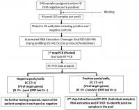 Pooling strategy in the wake of the COVID-19 | EurekAlert!