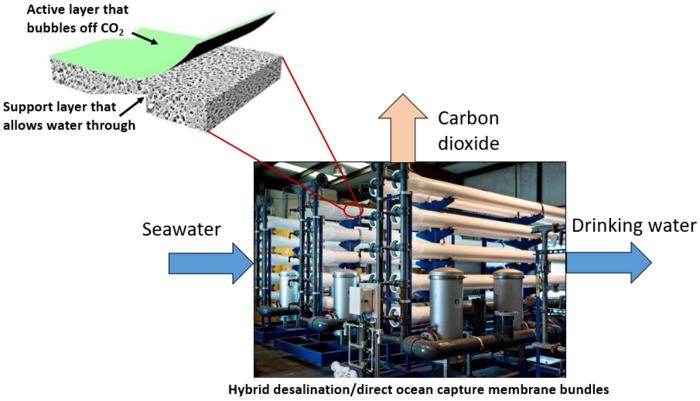 Removing Salt and Carbon [IMAGE] | EurekAlert! Science News Releases