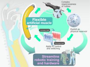 Built-in bionic computing | EurekAlert!