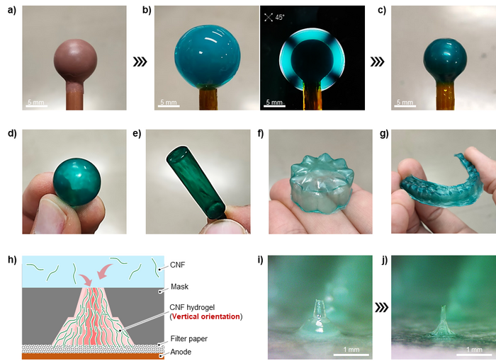 Fig 3 [image] Eurekalert Science News Releases