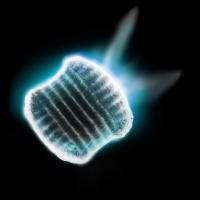 Self-Assembling Super-Crystals (5 of 5) | EurekAlert!