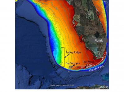 Scientists Study Pulley Ridge [IMAGE] | EurekAlert! Science News Releases