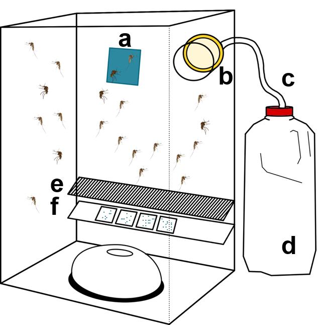 Passive Box Trap Diagram [IMAGE] | EurekAlert! Science News Releases