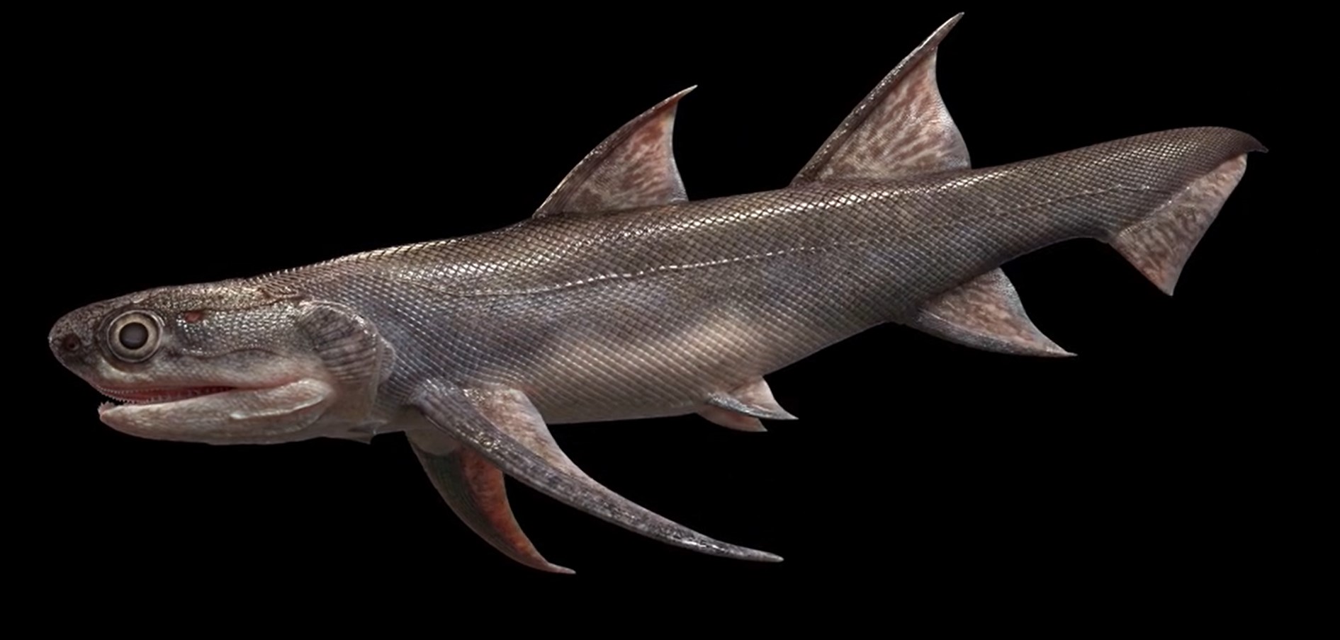 Rare fossil teeth from China overturn long-he | EurekAlert!