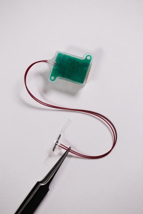 Gotta go? New bladder device lets you know | EurekAlert!