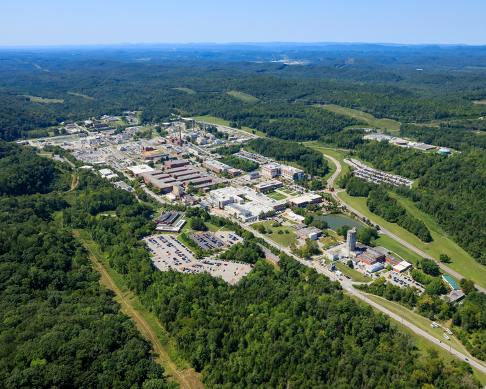 Living laboratory, biodiversity hub: The Oak | EurekAlert!