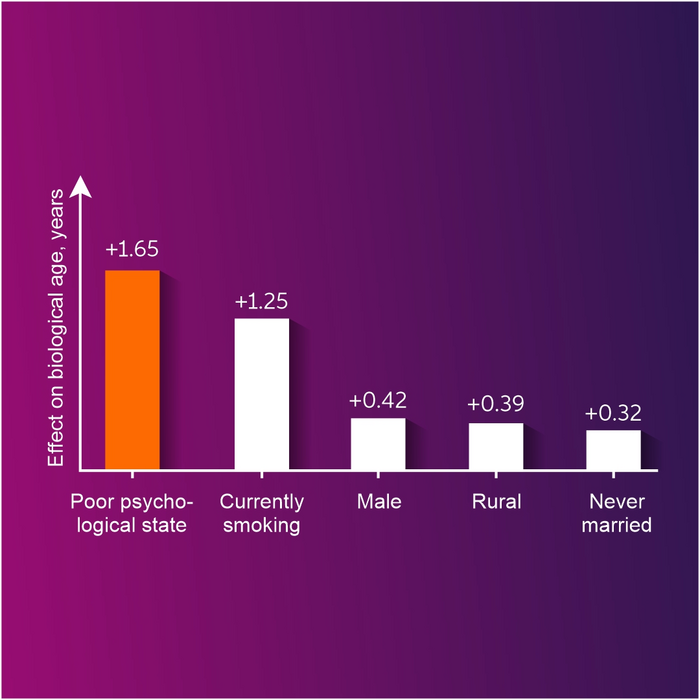 Research results connect human [IMAGE] | EurekAlert! Science News Releases