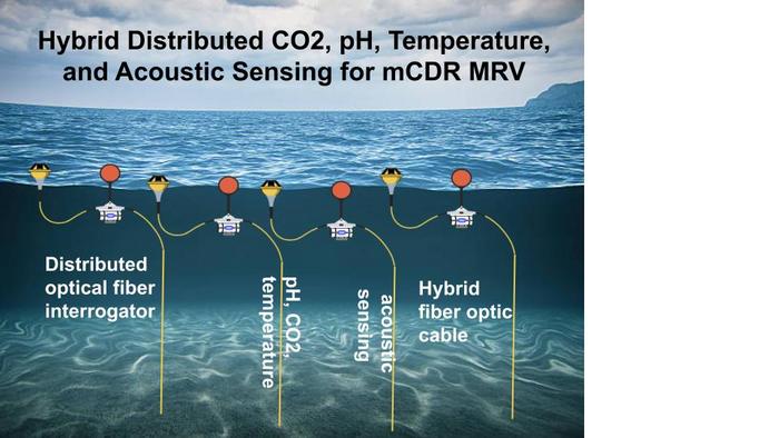 Measuring Ocean Carbon & pH vi [IMAGE] | EurekAlert! Science News Releases