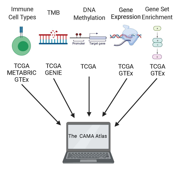 Molecular data types [IMAGE] | EurekAlert! Science News Releases