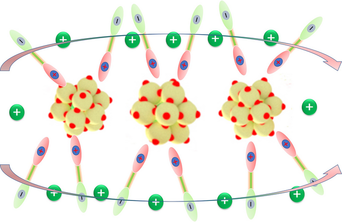 Zwitterion as a molecular addi [IMAGE] | EurekAlert! Science News Releases