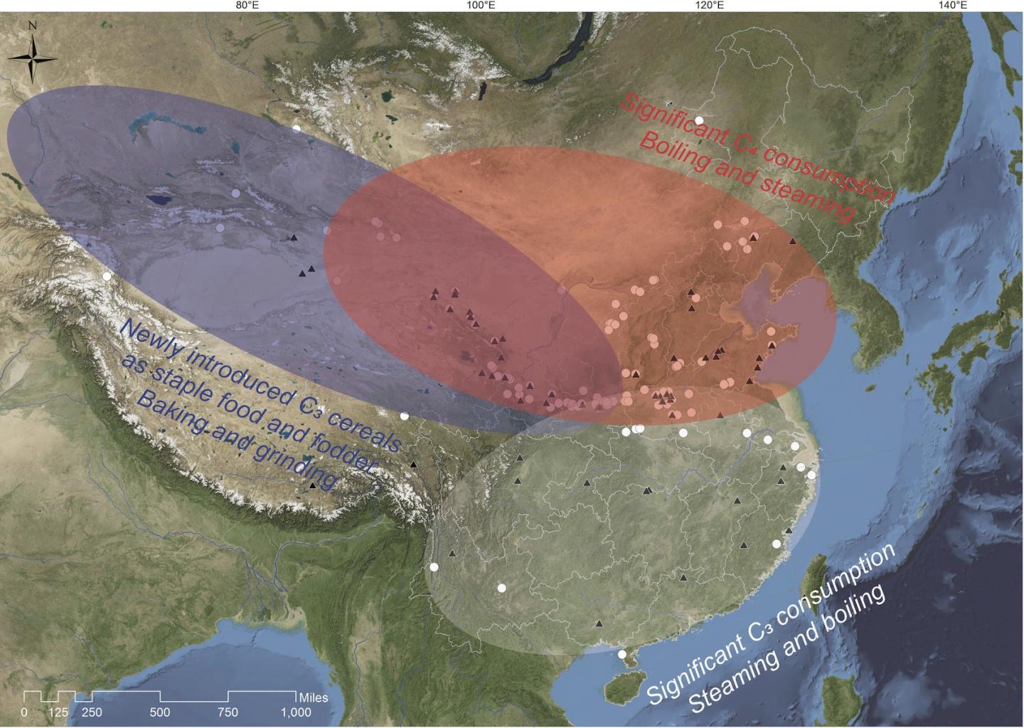 Site Locations [IMAGE] | EurekAlert! Science News Releases