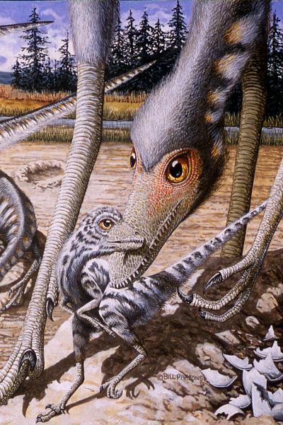 Male Birds Take Cues from Dino [IMAGE] | EurekAlert! Science News Releases