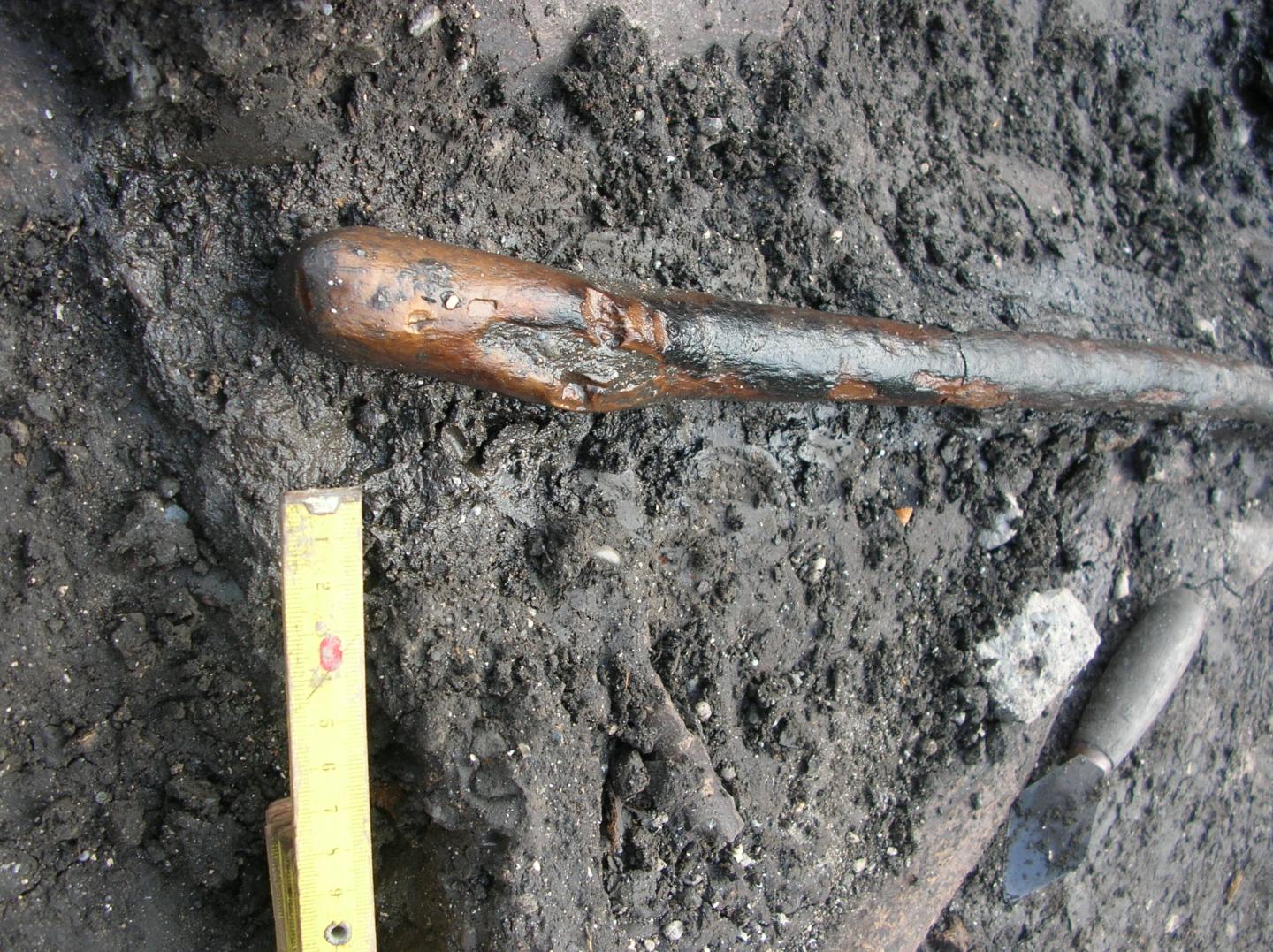 Detail of the Handle of Diggin [IMAGE] | EurekAlert! Science News Releases