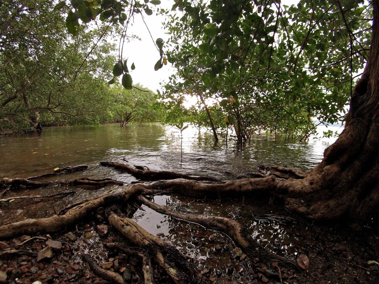 Revealed from Ancient Sediment [IMAGE] | EurekAlert! Science News Releases
