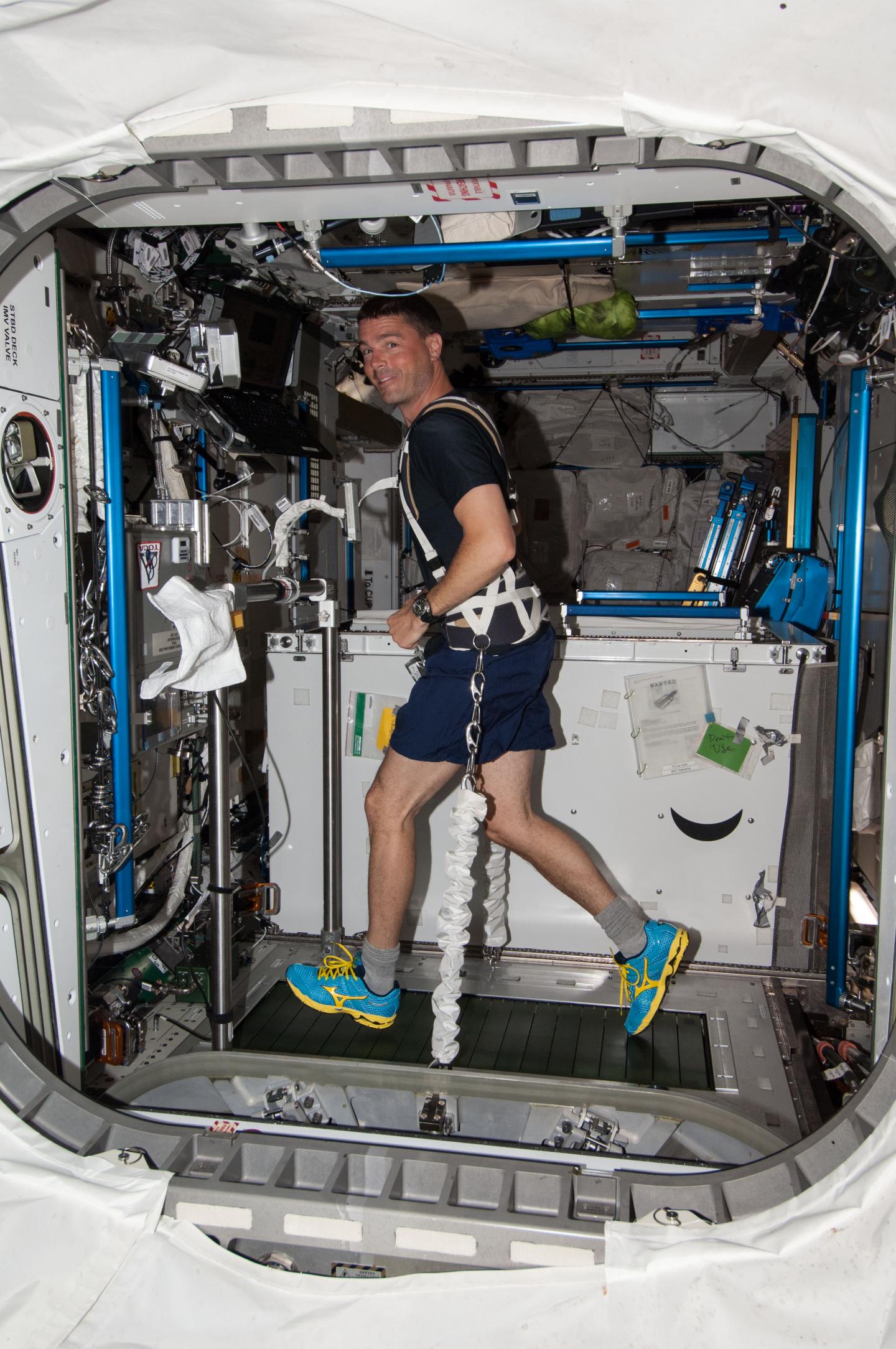 NASA Astronaut Exercises in Sp [IMAGE] | EurekAlert! Science News Releases