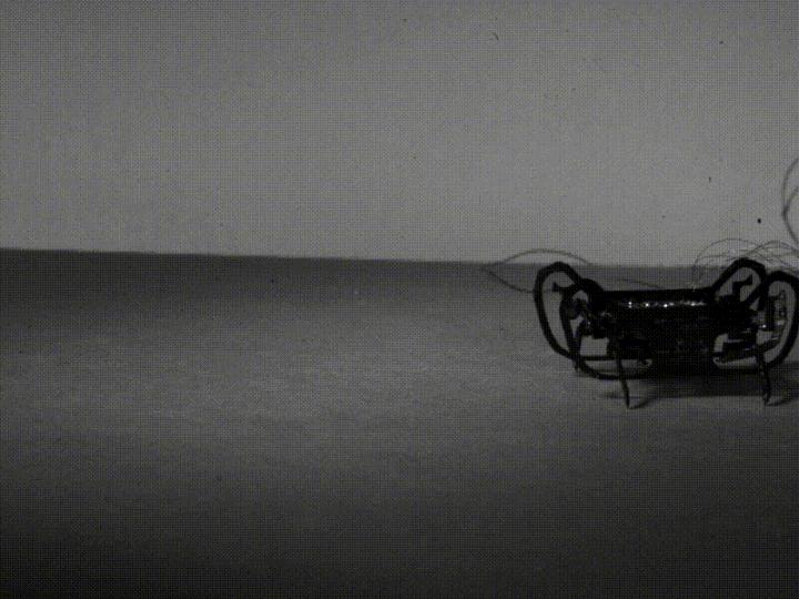 Running HAMR [IMAGE] | EurekAlert! Science News Releases