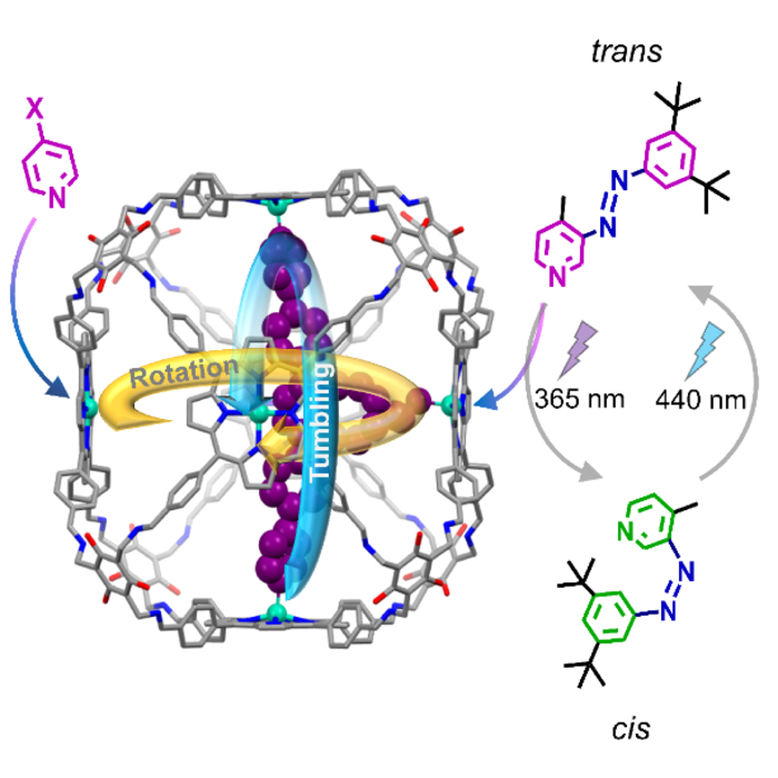 Figure 2 [IMAGE] | EurekAlert! Science News Releases