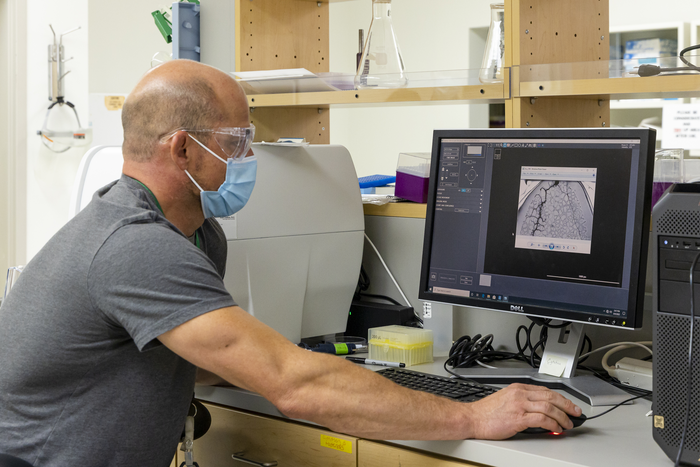 Retterer Rhizosphere-on-a-chip [IMAGE] | EurekAlert! Science News Releases