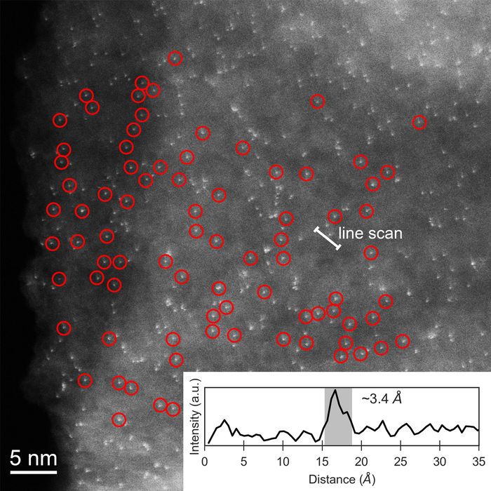 HAADF-STEM image showing isola [IMAGE] | EurekAlert! Science News Releases