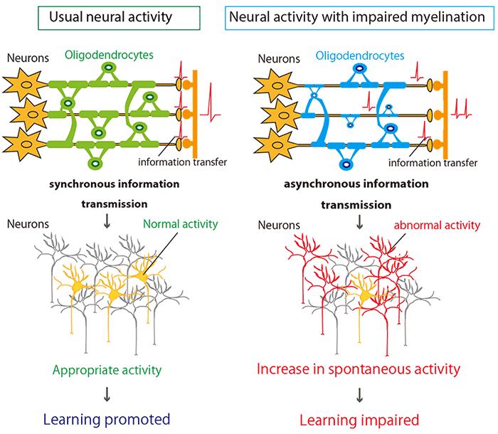 Figure 1 [IMAGE] | EurekAlert! Science News Releases