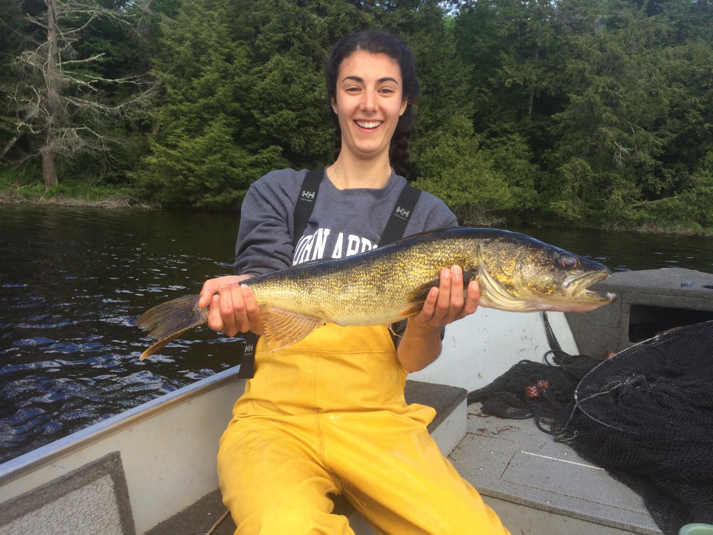 Walleye Caught at a Lake in th [IMAGE] | EurekAlert! Science News Releases