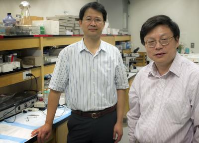 Liping Tang and Jianzhong Su, [IMAGE] | EurekAlert! Science News Releases