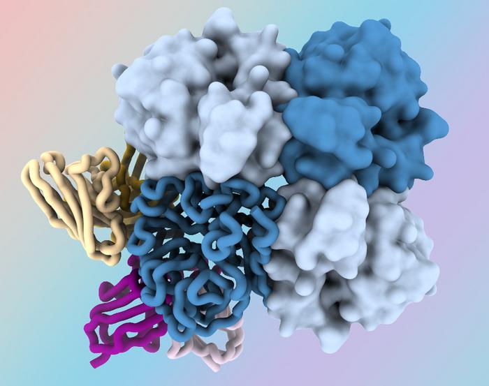 neuraminidase protein [IMAGE] | EurekAlert! Science News Releases