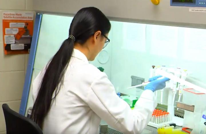 SPIT Lab Research [IMAGE] | EurekAlert! Science News Releases